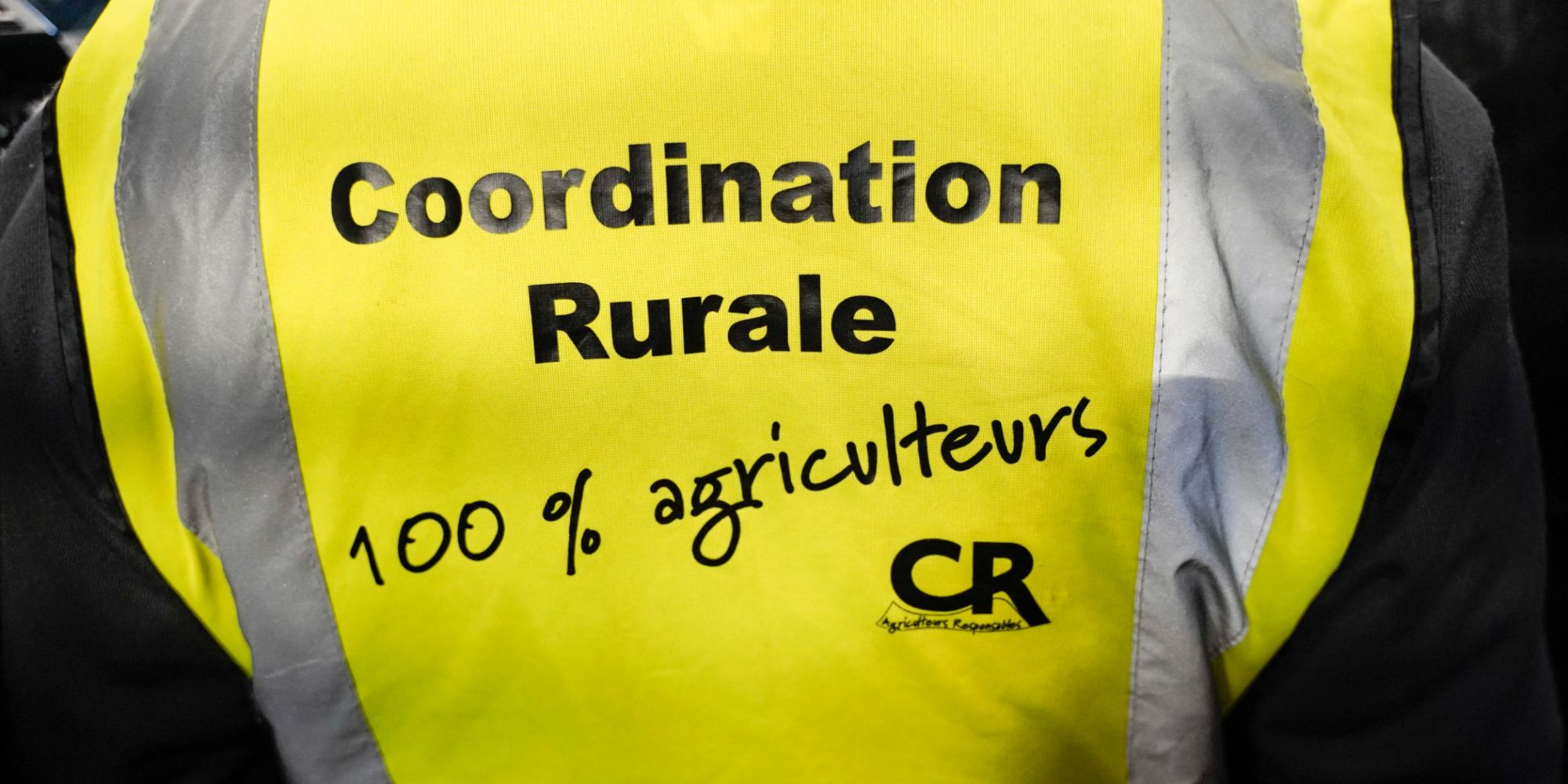 La Coordination rurale, proche du RN ? «Non, de nombreux adhérents ne s'y reconnaissent pas ...