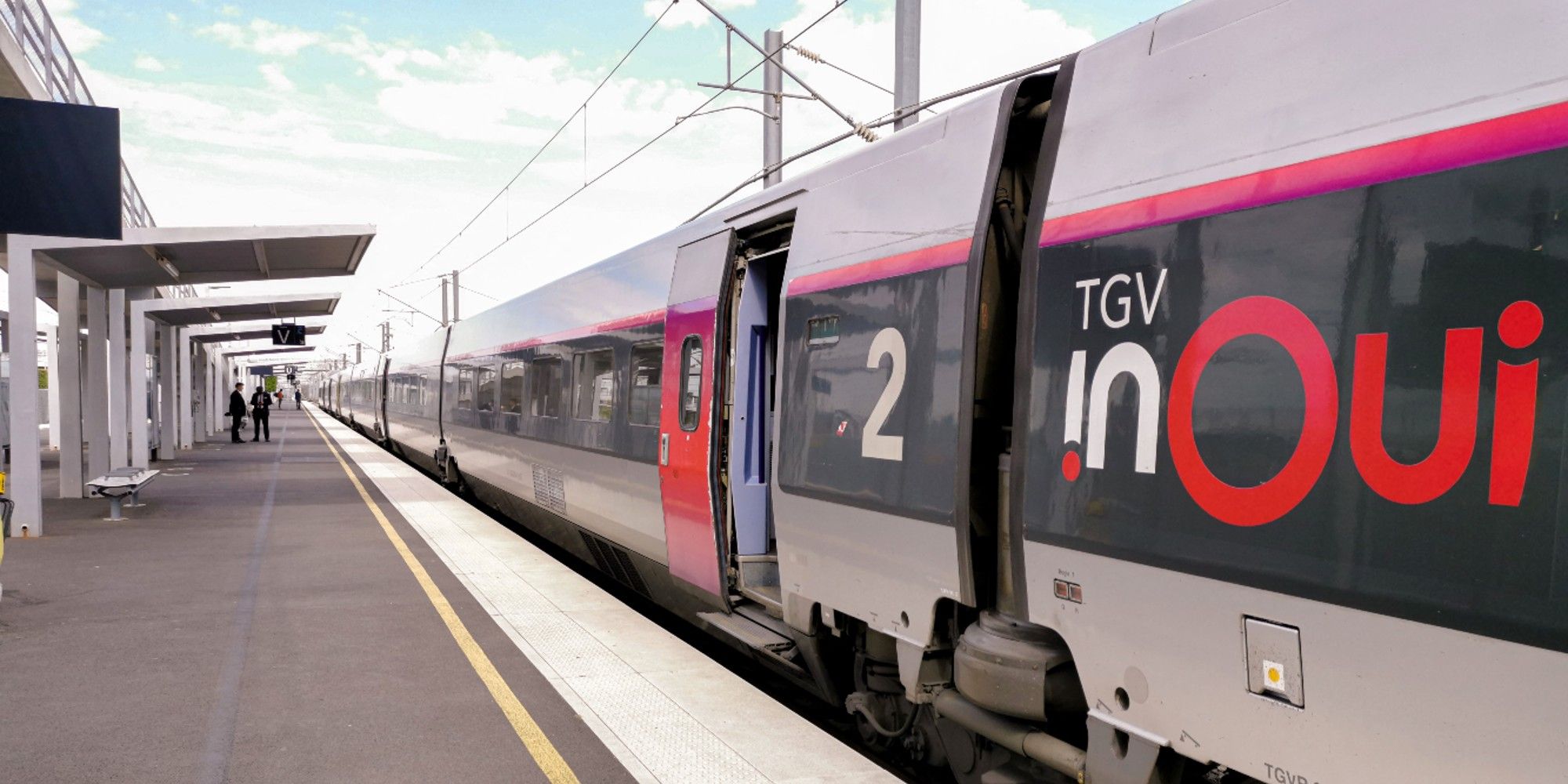 Chat écrasé par un TGV : pas de procès devant un tribunal correctionnel pour la SNCF