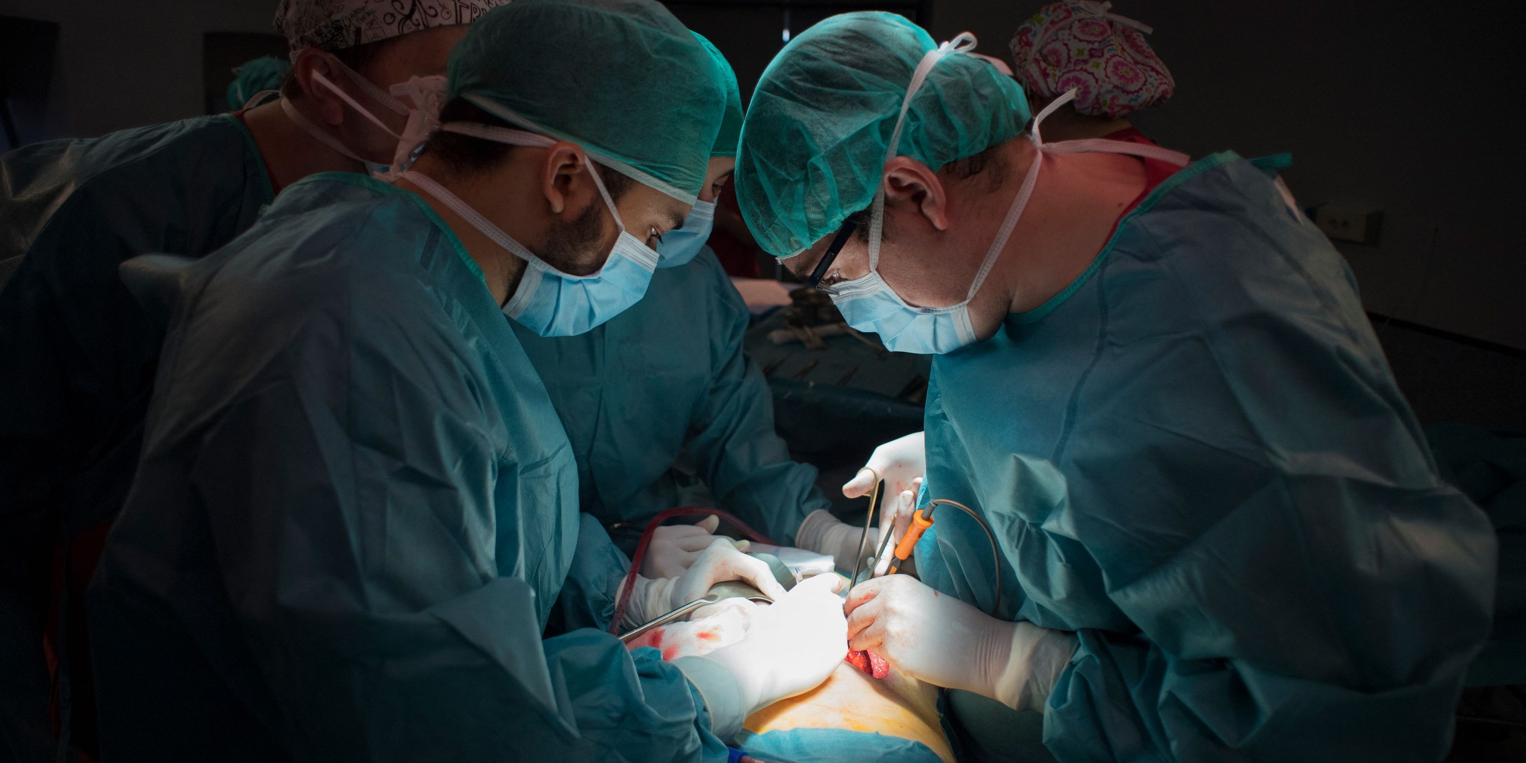 Etats-Unis : des chirurgiens ont greffé avec succès le coeur d'un porc ...