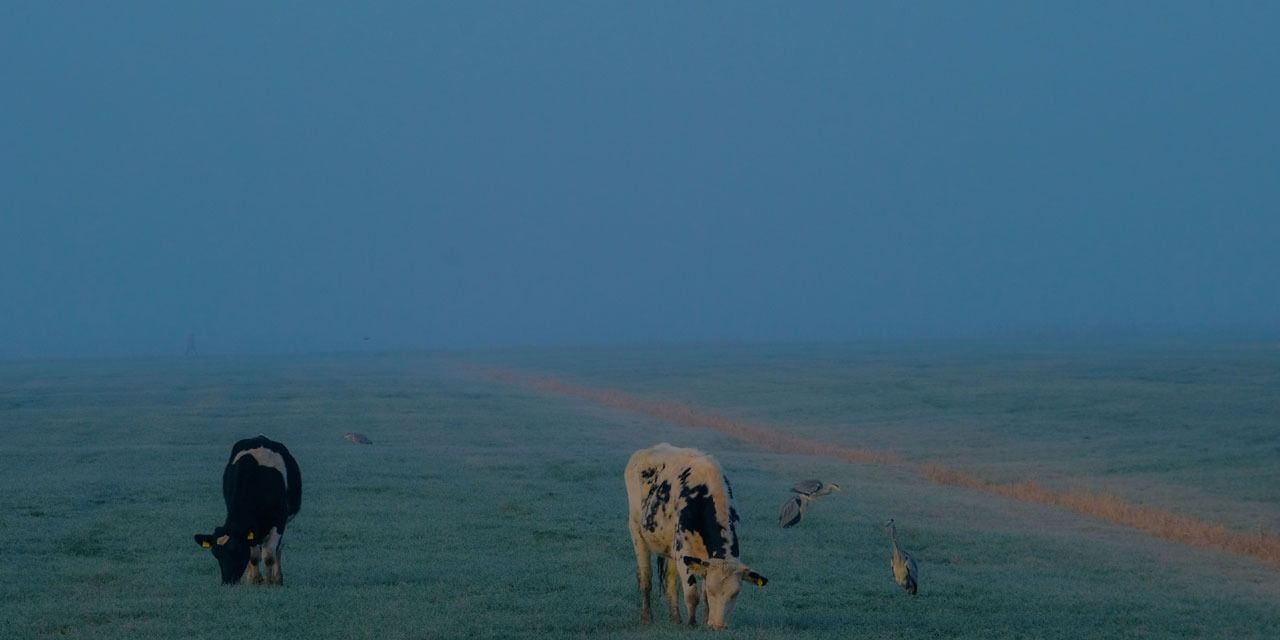 La météo de lundi : un temps humide au nord et variable au sud