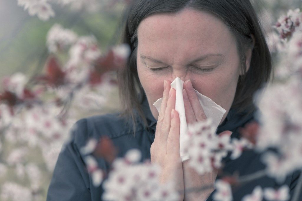Pollens, acariens, aliments... Pourquoi les allergies explosent-elles ...