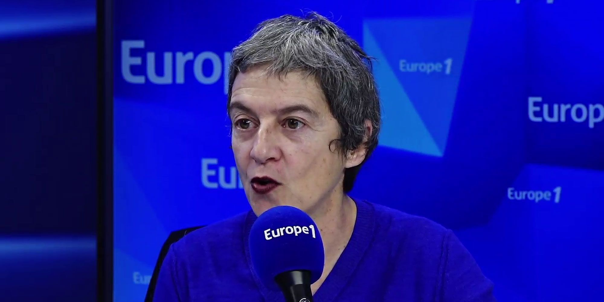 GPA : Caroline Mecary considère que "la Cour d'appel de Rennes a fait ...