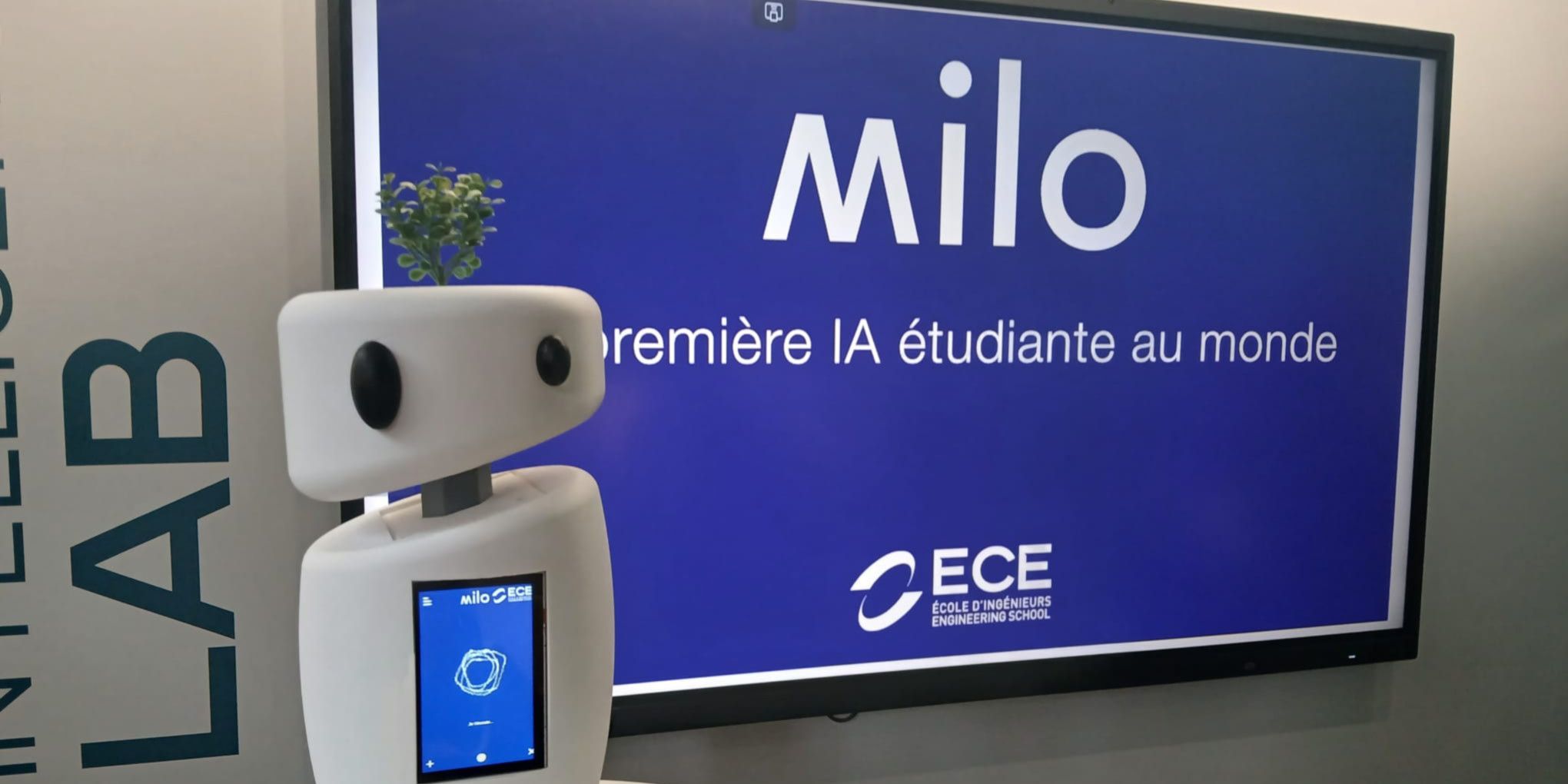 «C’est l’étudiant sympa qui est toujours prêt à t’aider» : Milo, un ...